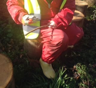 Forest School - Surfleet Primary School